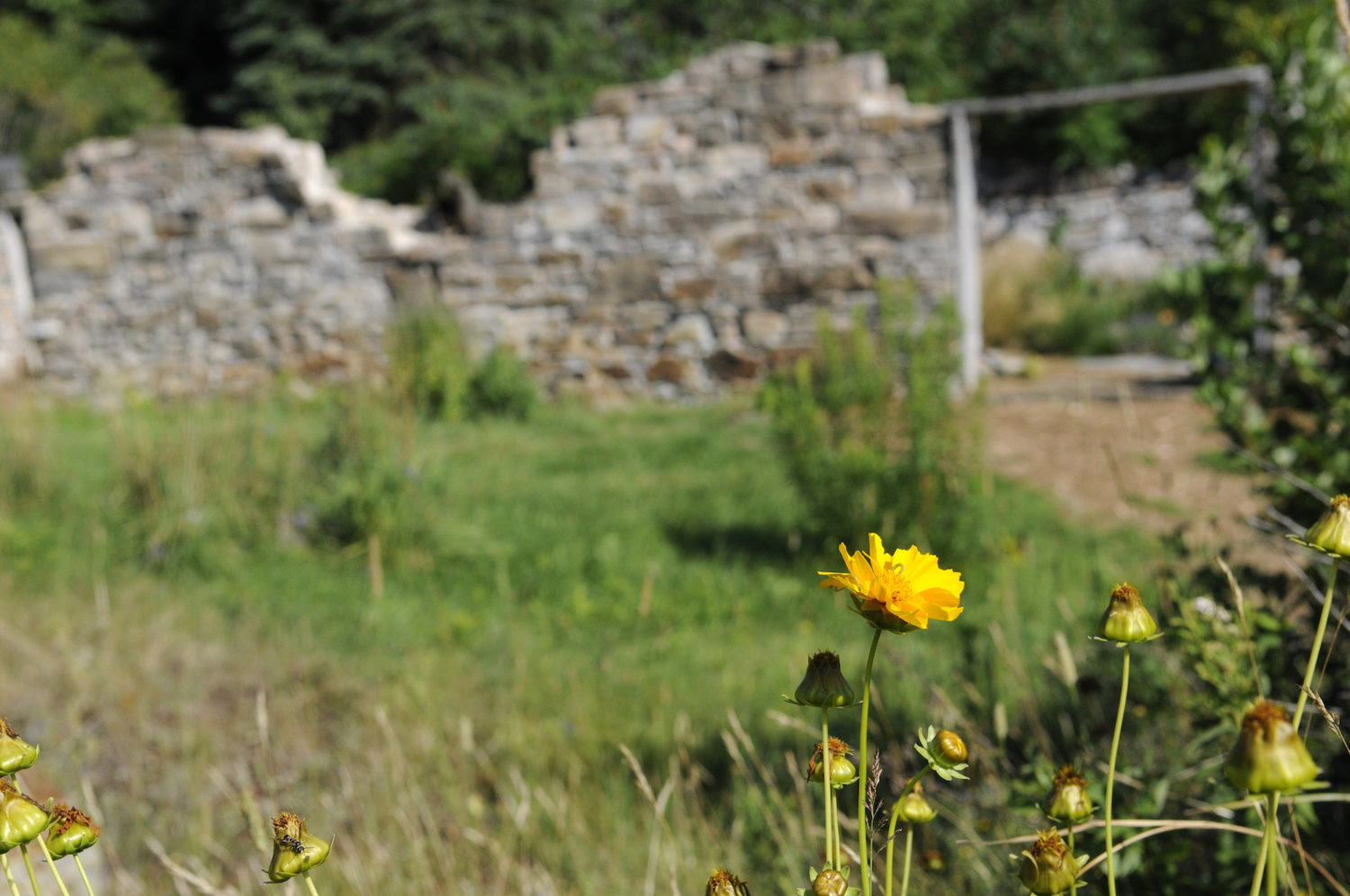 7 Best Hiking Trails in Huntsville | Muskoka