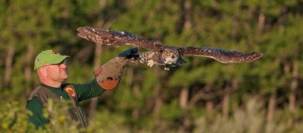 Huntsville Public Library, Muskoka