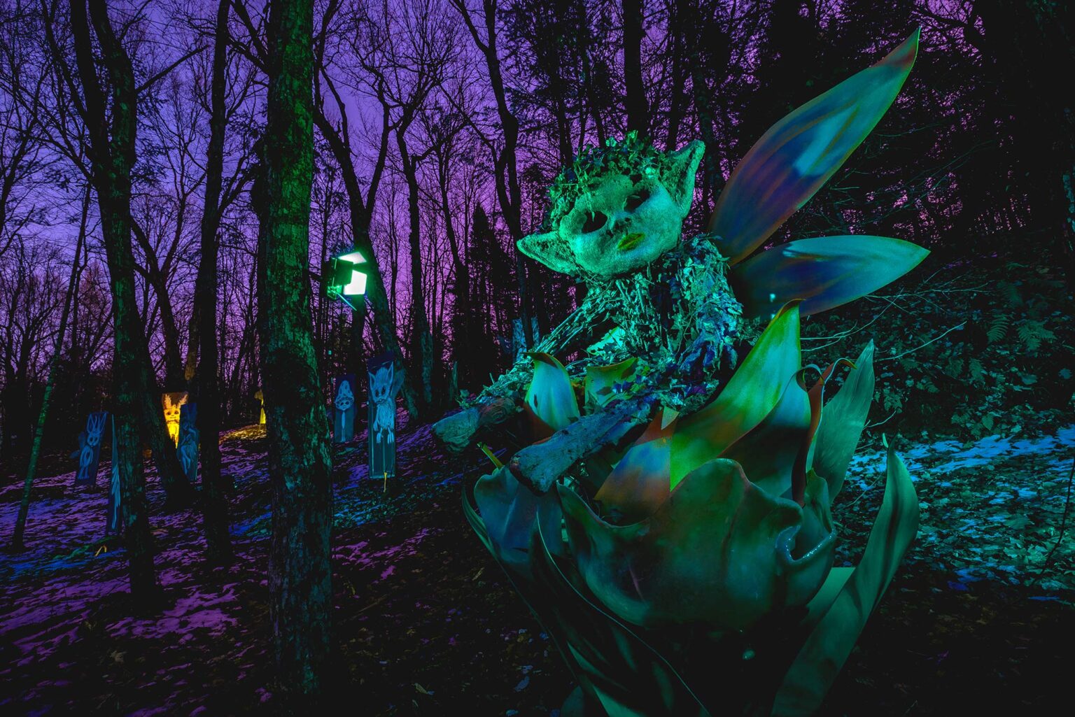 Forest of Light | Huntsville, Muskoka