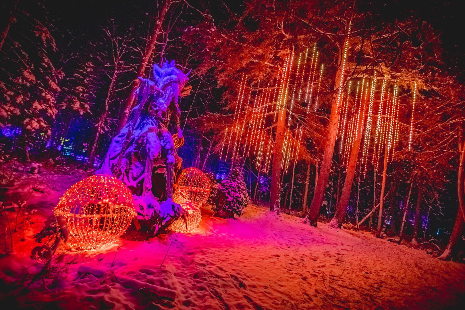Forest of Light | Huntsville, Muskoka