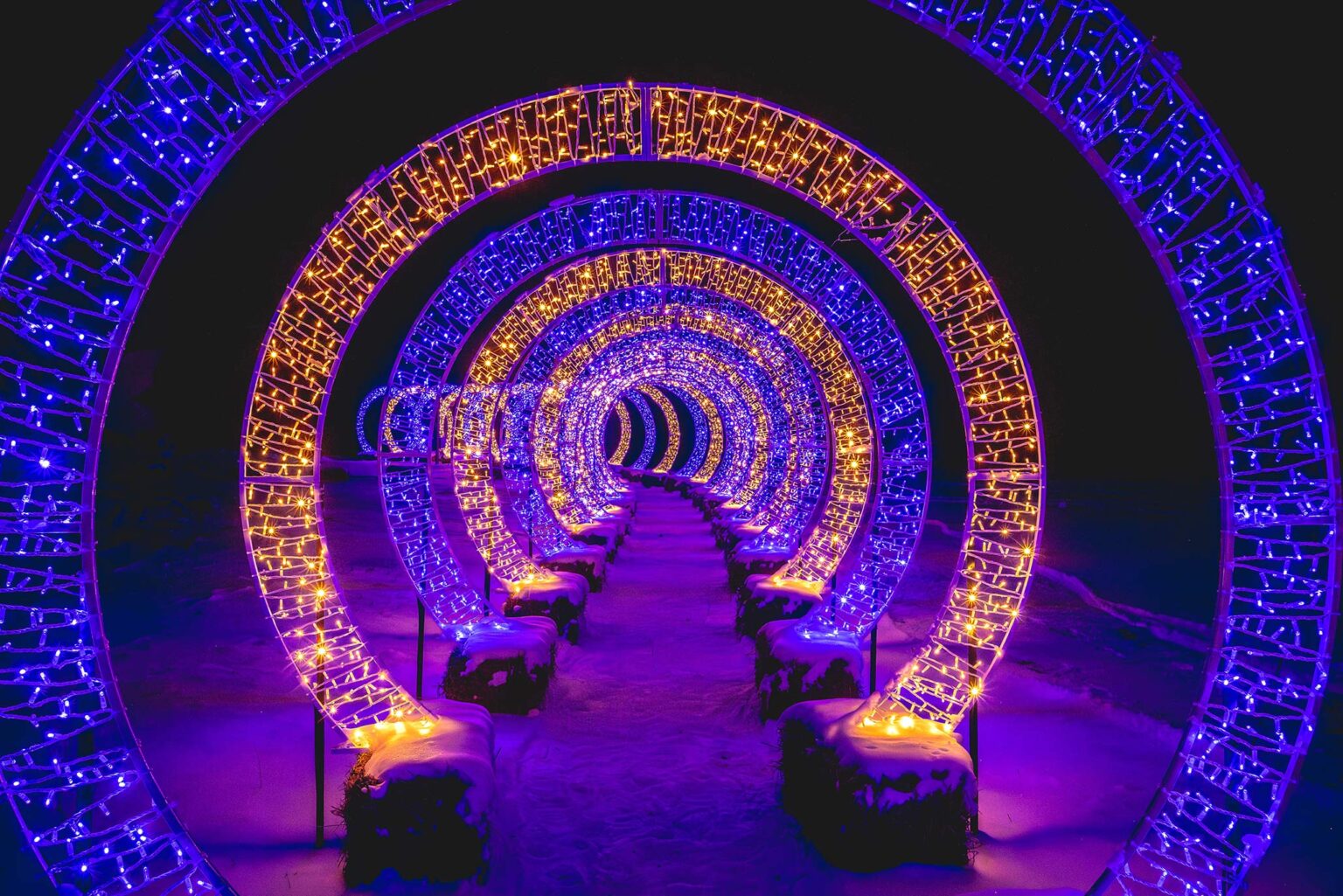 Forest of Light | Huntsville, Muskoka