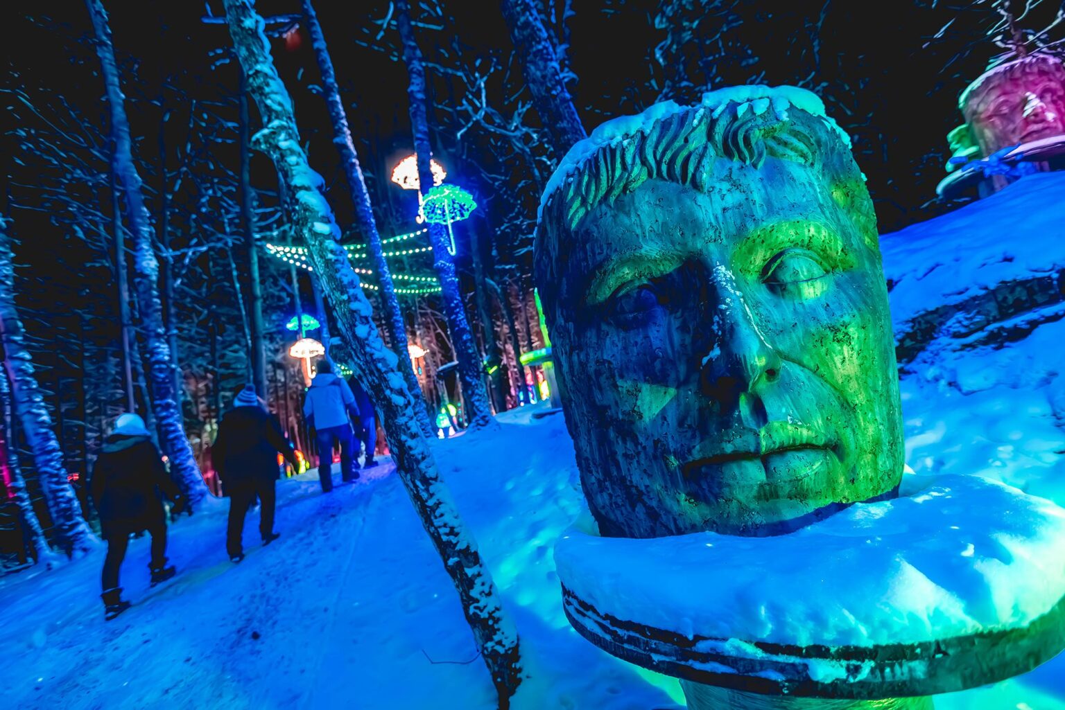 Forest of Light | Huntsville, Muskoka